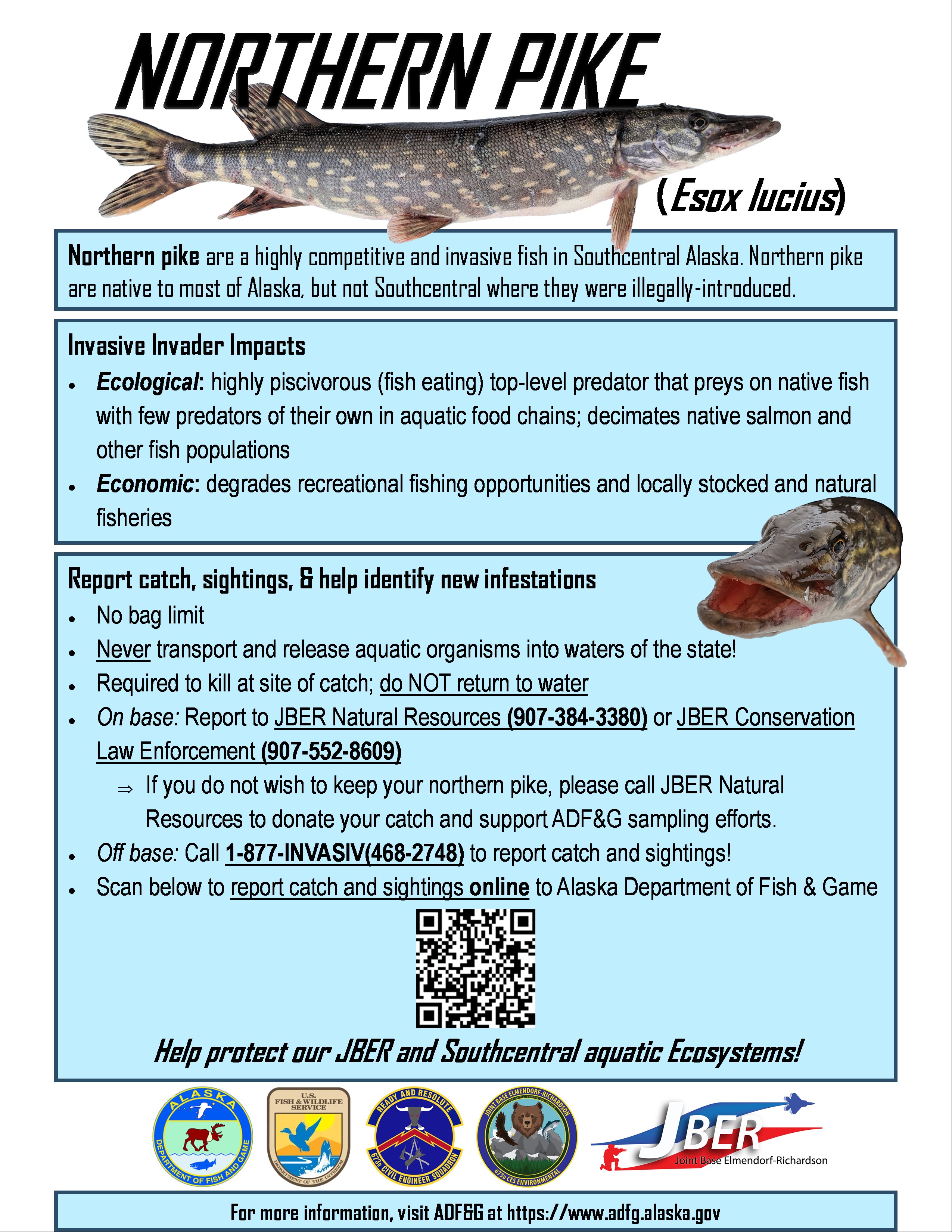 Fishing - Joint Base Elmendorf–Richardson - iSportsman