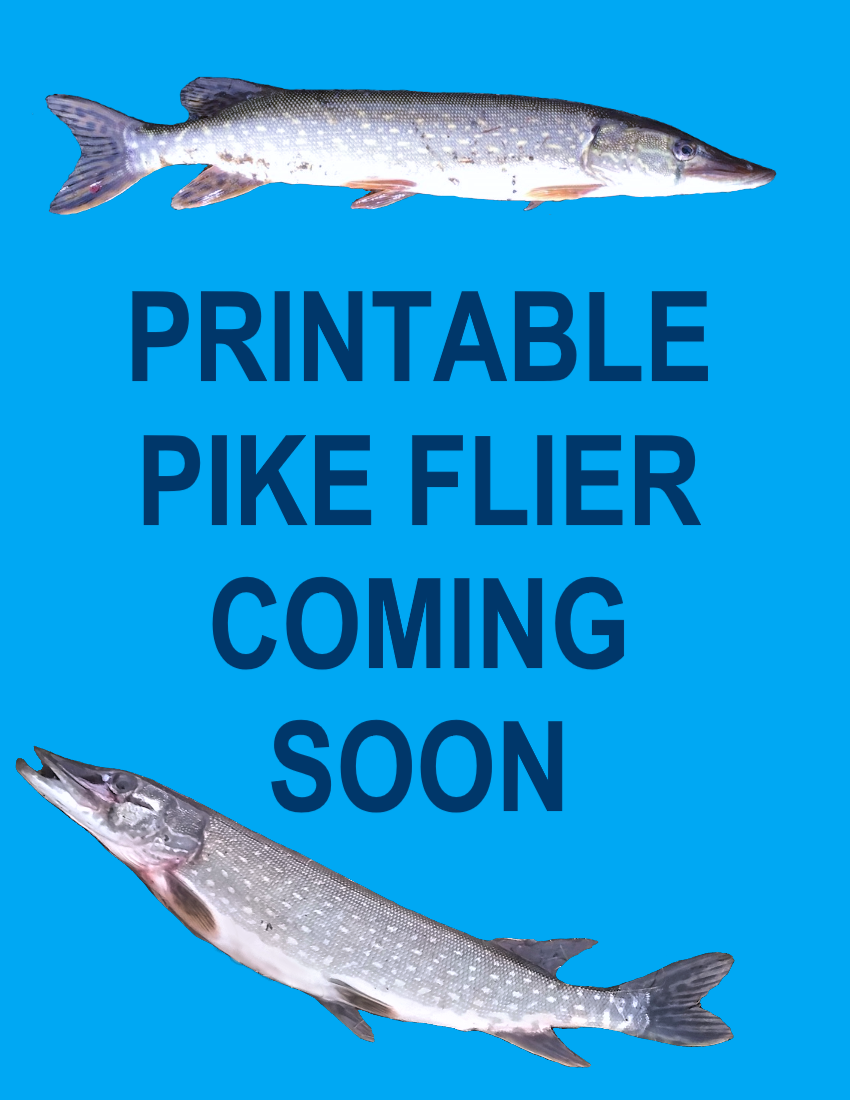 Fishing - Joint Base Elmendorf–Richardson - iSportsman